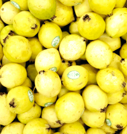 yellow guava